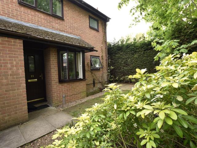 1 bedroom house to rent