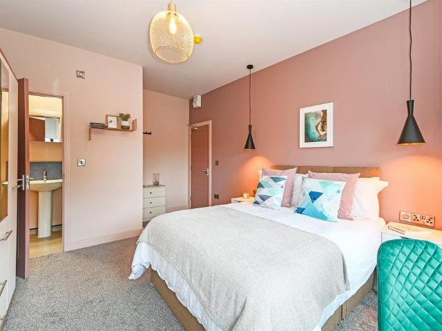 1 bedroom house to rent