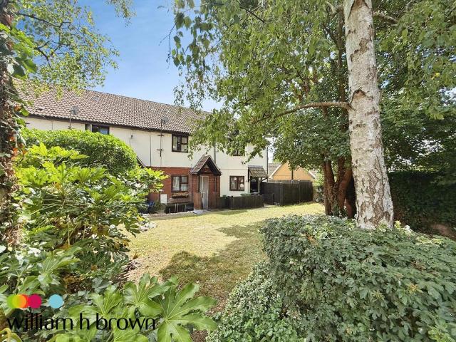 1 bedroom house to rent