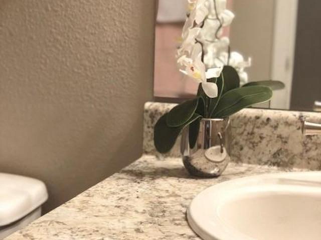 1 bedroom, Houston TX 77049 LS76869623