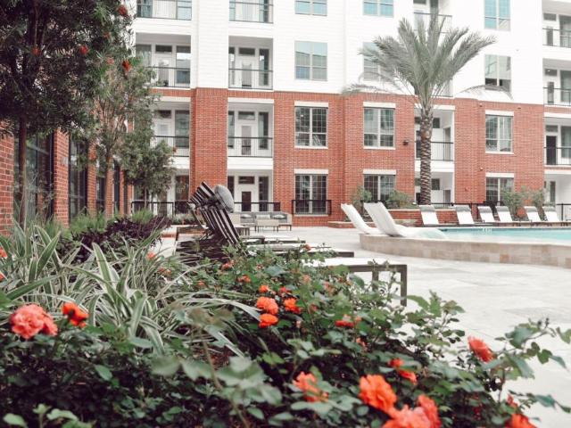 1 bedroom, Houston TX 77002 LS39671436