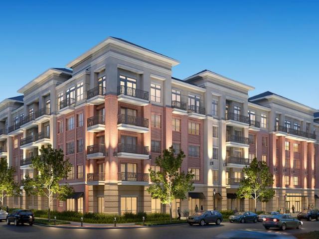 1 bedroom, Houston TX 77007 38828074