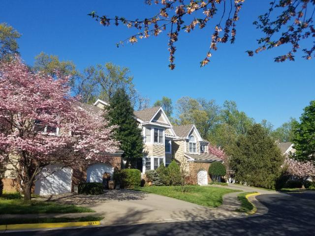 1 Bedroom Home for Rent at 1213 Woodbrook Ct, Reston, VA 20194 Reston