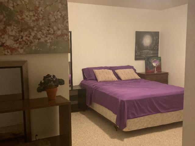 1 Bedroom Home for Rent at 1 Meadow Place Ct, Houston, TX 77071 Greater Fondren Southwest