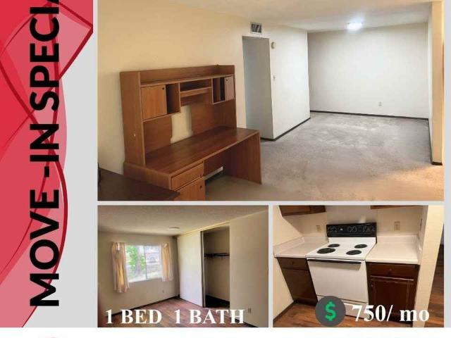 1 Bedroom Home for Rent at 200 High Meadows Blvd #205, Lafayette, LA 70507
