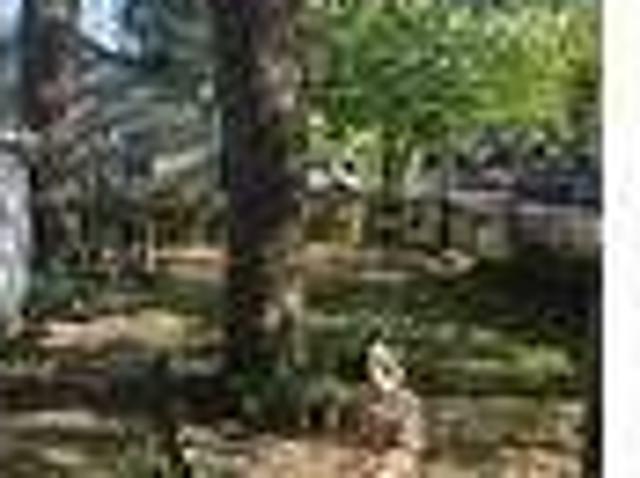 1 Bedroom Homes For Rent Chesapeake VA
