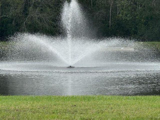 1 bedroom, Haines City FL 97418649