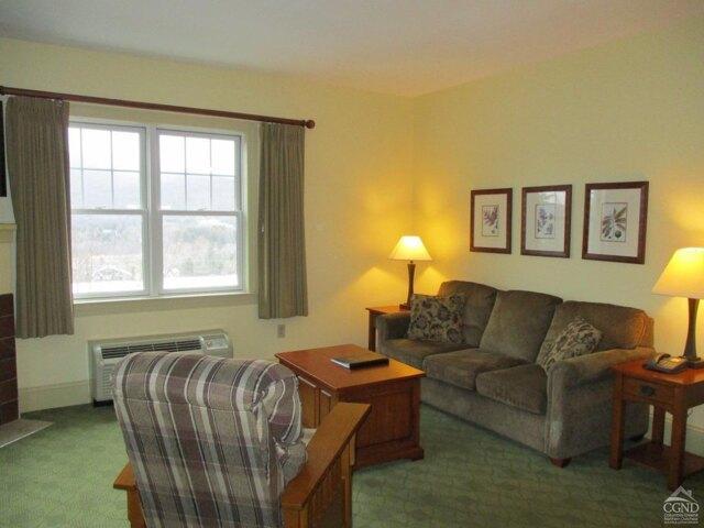 1 bedroom, Hunter NY 12442 88452629