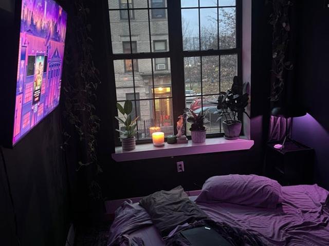 1 Bedroom in Central Bushwick