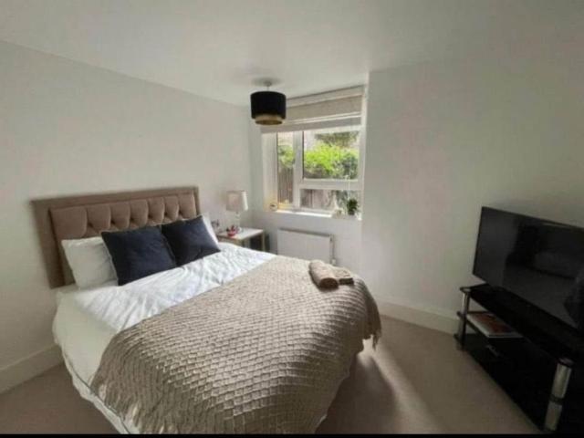 1 bedroom in a house share to rent