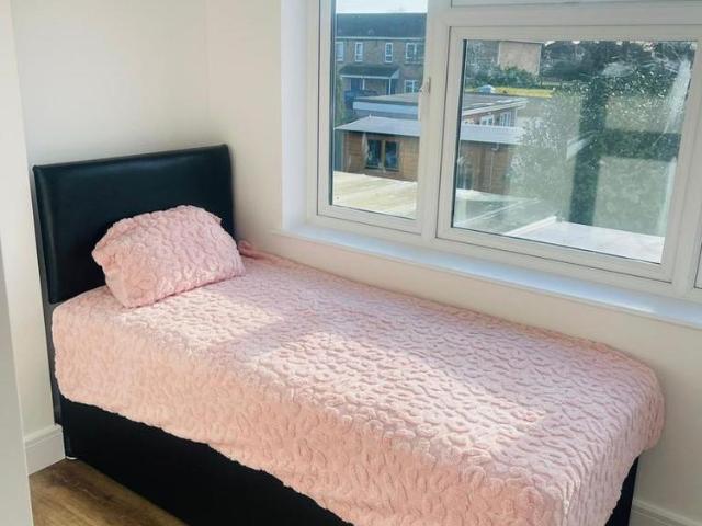 1 bedroom in a house share to rent