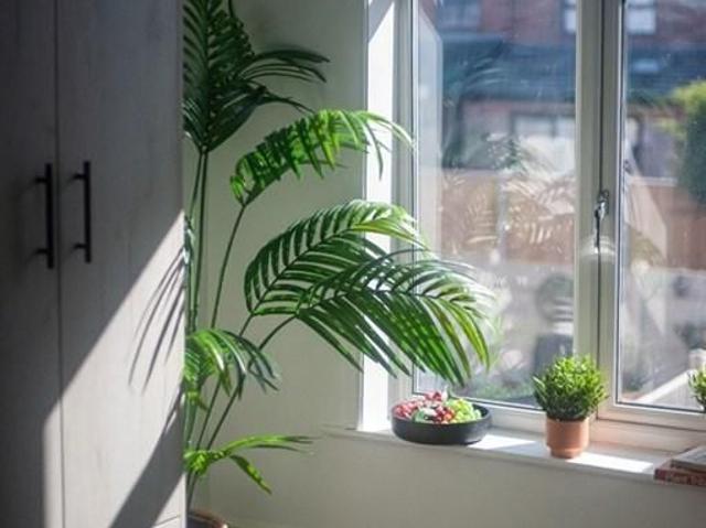 1 bedroom in a house share to rent