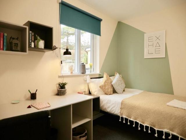 1 bedroom in a house share to rent