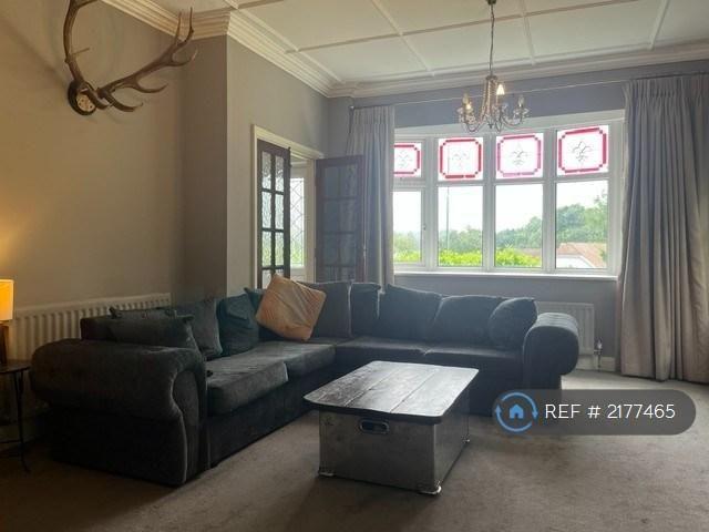 1 bedroom in a house share to rent