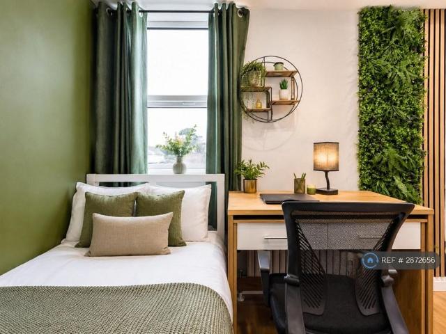 1 bedroom in a house share to rent