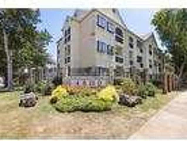 1 bedroom in Dallas Texas 75209