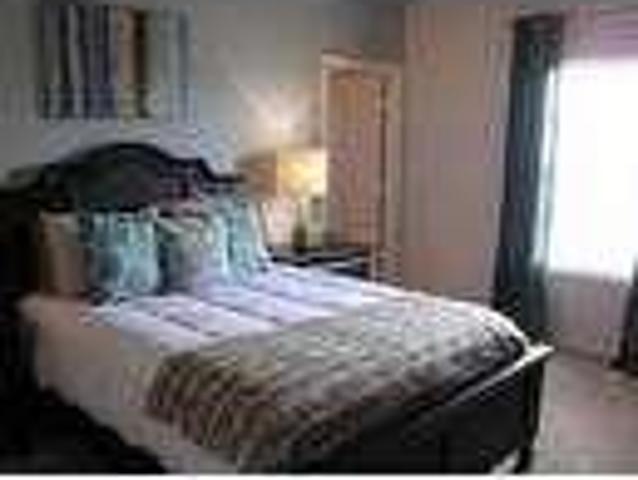 1 bedroom in Tampa FL 33624