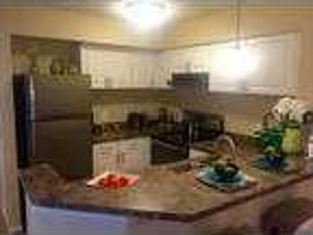1 bedroom in Tampa FL 33624