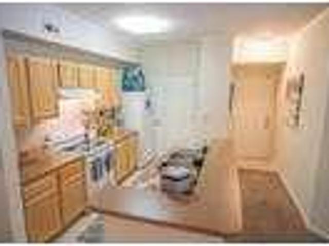 1 bedroom in Tampa FL 33626
