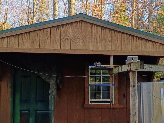 1 bedroom, Irons MI 49644 LS90803508