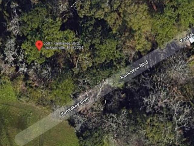 1 bedroom, Jacksonville FL 32254 78116527