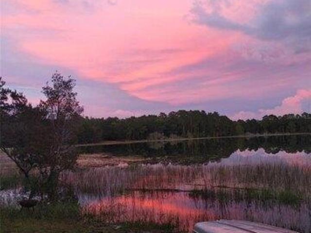 1 bedroom, Ocklawaha FL 32179 91900082