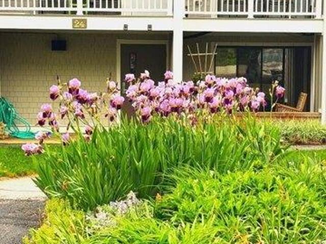 1 bedroom, Orleans MA 02653 104851429