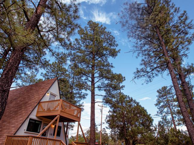 1 bedroom, Overgaard AZ 85933 88145616