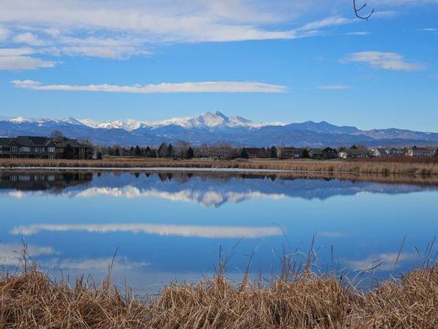 1 bedroom, Longmont CO 97413012