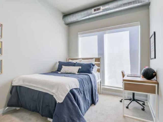 1 bedroom, Lawrence Lawrence 99495266