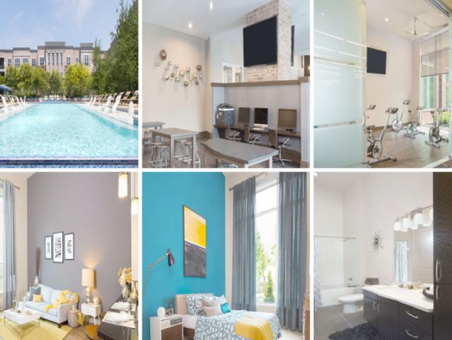1 bedroom, Montrose & Museum District TX 77007 77109882