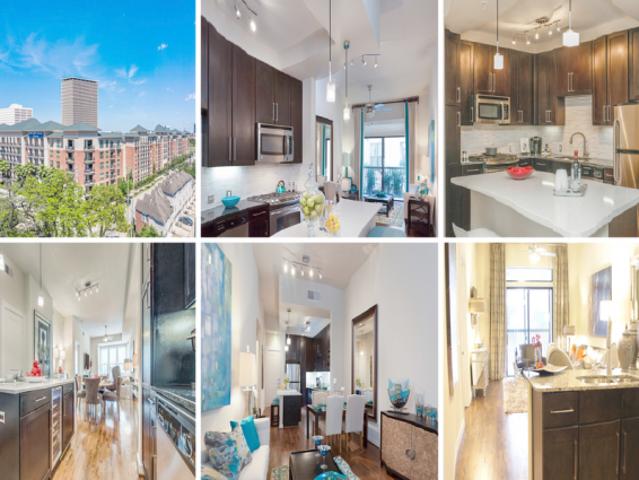 1 bedroom, Montrose & Museum District TX 77019 77110002