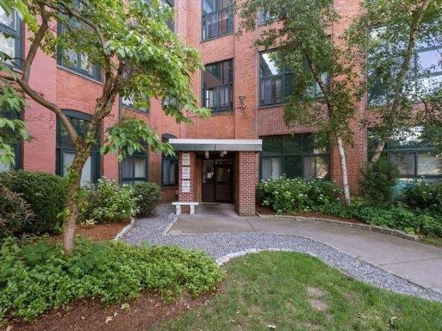1 bedroom, Mansfield MA 02048 103927532