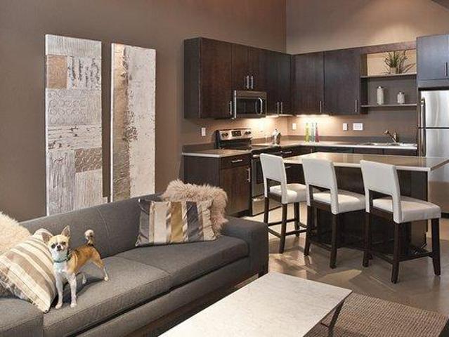 1 bedroom, Minneapolis MN 55408 73513471