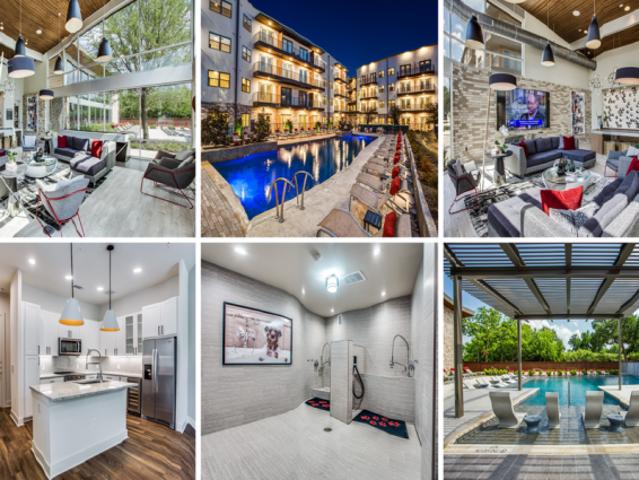 1 bedroom, Northwest Dallas TX 75220 77109130