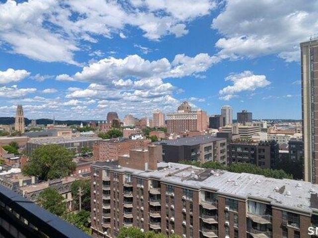 1 bedroom, New Haven CT 06511 105158946