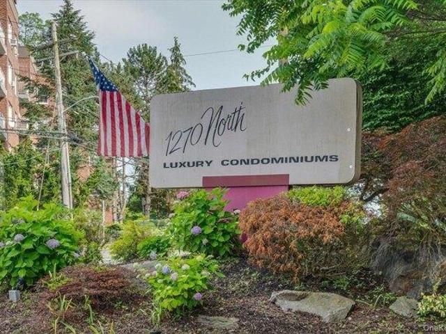 1 bedroom, New Rochelle NY 10804 101746560