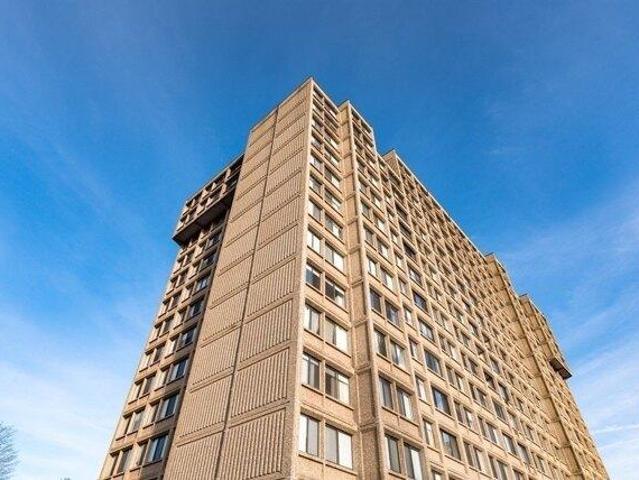 1 bedroom, Newton MA 02467 103188192
