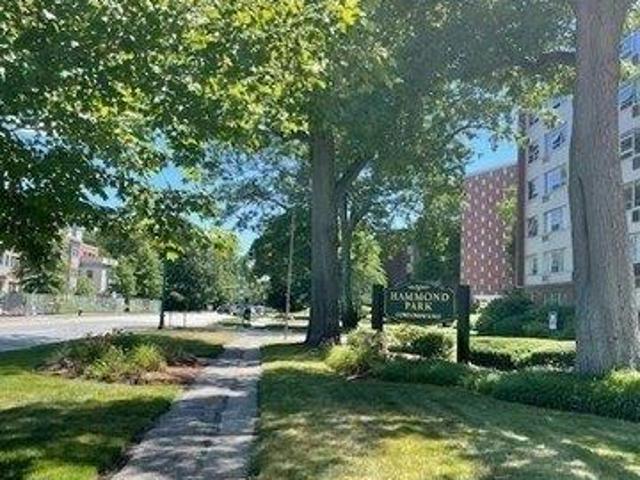 1 bedroom, Newton MA 02467 104570078