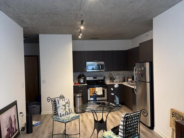 1 BEDROOM SOUTH LOOP