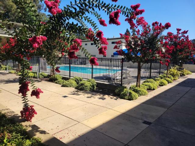 1 bedroom, Santa Rosa CA 95404 81501755