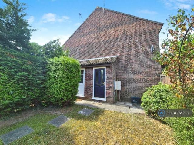 1 bedroom semi detached house to rent