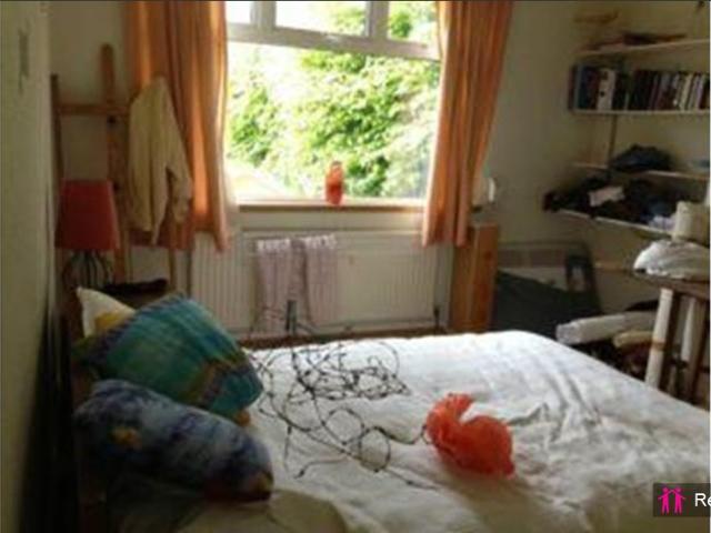1 bedroom semi detached house for rent