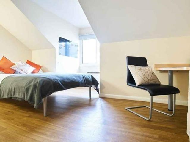 1 Bedroom Shared Living/roommate Manchester Manchester 97769629