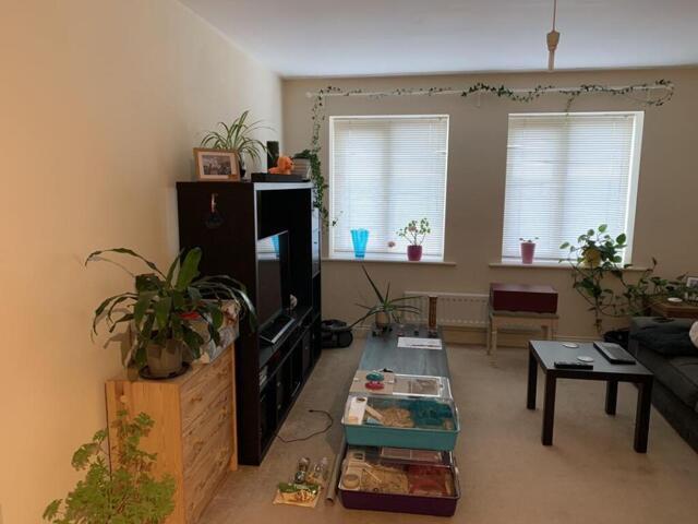 1 Bedroom Shared Living/roommate Nuneaton Warwickshire 99332983