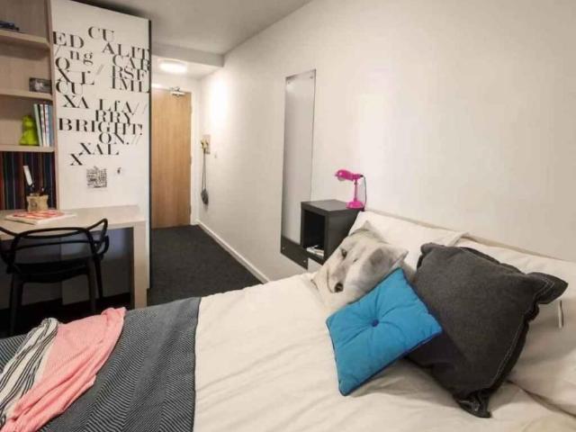 1 Bedroom Shared Living/roommate Newcastle Upon Tyne Newcastle Upon Tyne 97829906