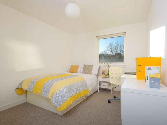 1 Bedroom Shared Living/roommate Aberdeen Aberdeen 91480803