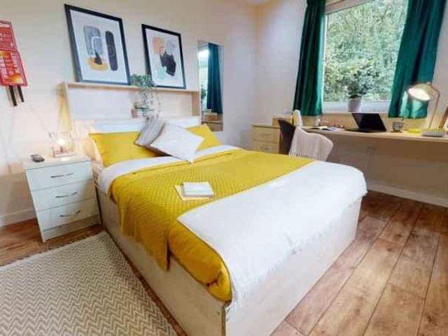 1 Bedroom Shared Living/roommate Bangor Bangor 97830290