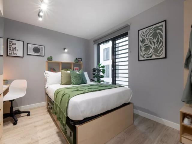 1 Bedroom Shared Living/roommate Belfast Belfast LS97833288