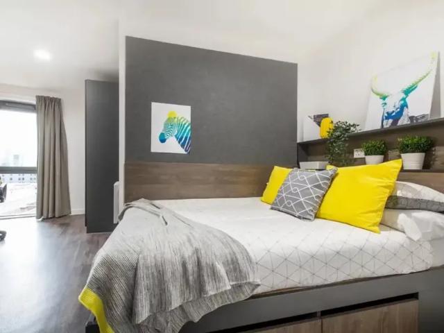 1 Bedroom Shared Living/roommate Birmingham Birmingham 99493310